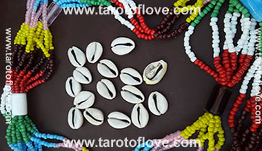 Free cowrie shell love reading - You and him / her.